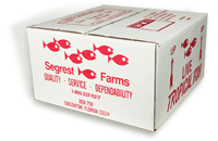 Quality, Service, and Dependability that comes with purchasing from us ...